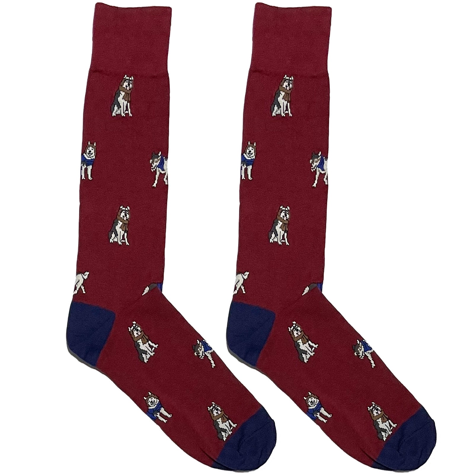 Maroon Dog Socks – themensden.pk